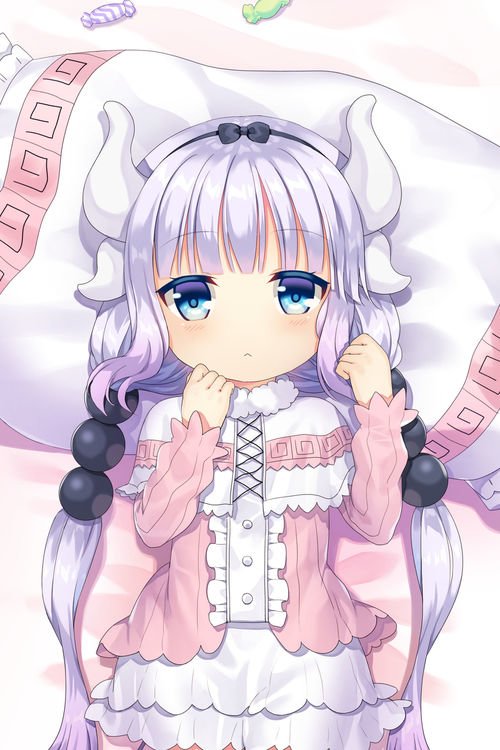 Dakimakura Covers - Dakimakuri