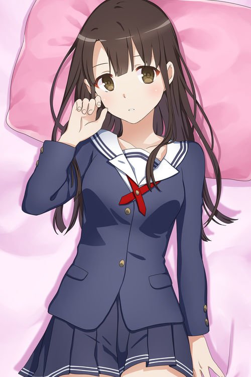 Dakimakura Covers - Dakimakuri