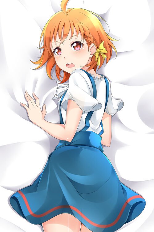 Dakimakura Covers - Dakimakuri