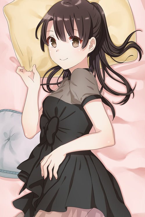 Dakimakura Covers - Dakimakuri