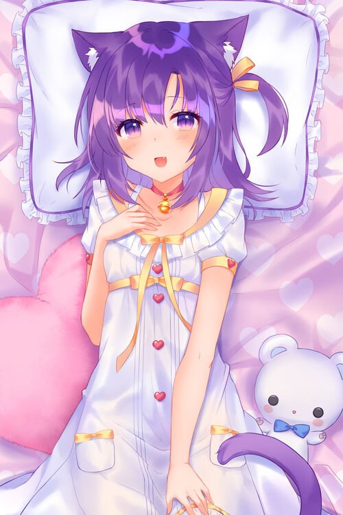 Dakimakura Covers - Dakimakuri