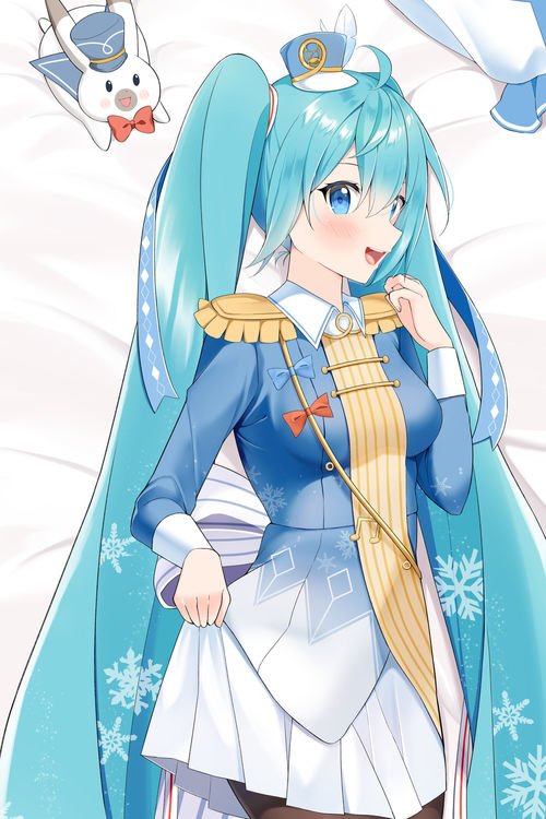 Dakimakura Covers - Dakimakuri