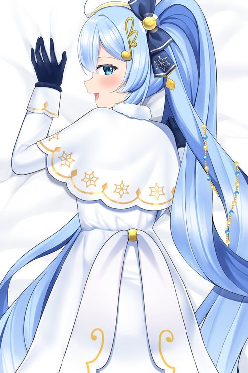 Dakimakura Covers - Dakimakuri