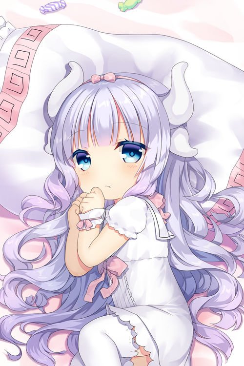 Dakimakura Covers - Dakimakuri